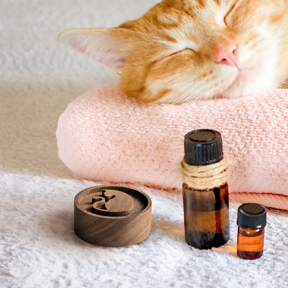 Wooden Hand Carved Essential Oil Diffusers, Air Fresh Aroma Diffusers ...