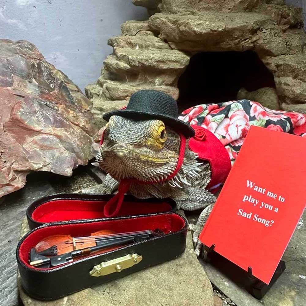 El violín pequeño más pequeño del mundo para los que se quejan que toca ...