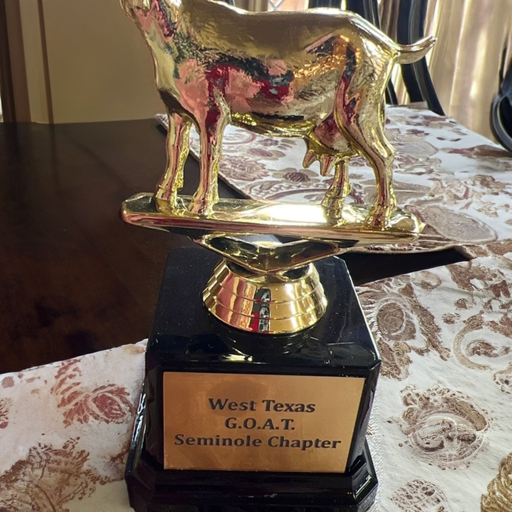 Personalized GOAT Trophy, Custom Funny Engraved Appreciation Trophy, G ...