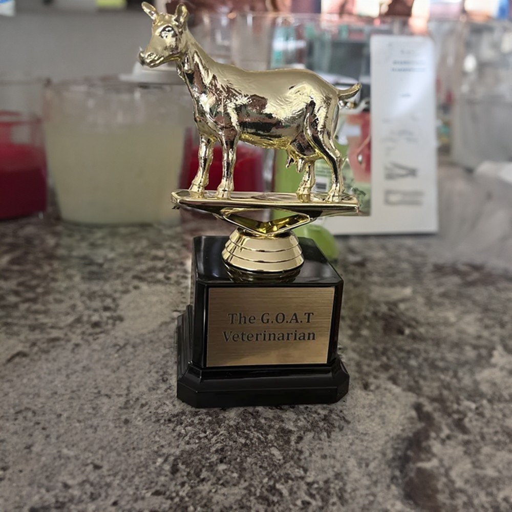 Personalized GOAT Trophy, Custom Funny Engraved Appreciation Trophy, G ...