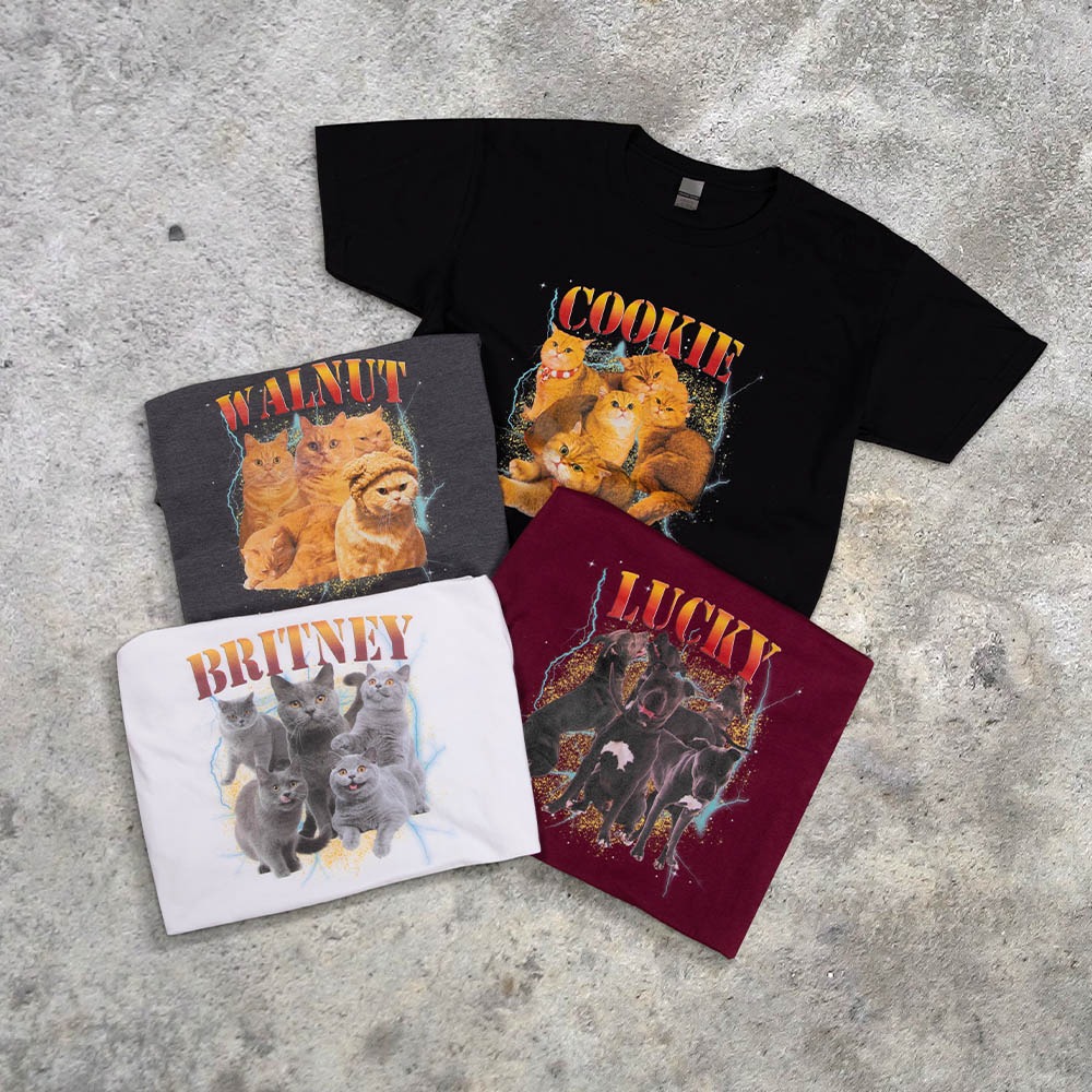 Menu Holders 2 Pack - 12.5x9.25 Inch PVC | 4 Page 8 View Folding Book ...